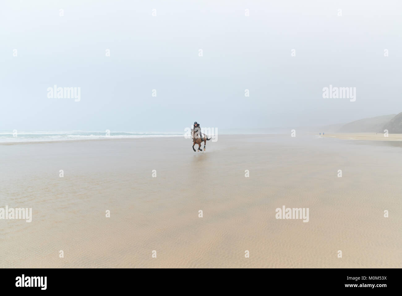 Tide of the sea horse hi-res stock photography and images - Alamy