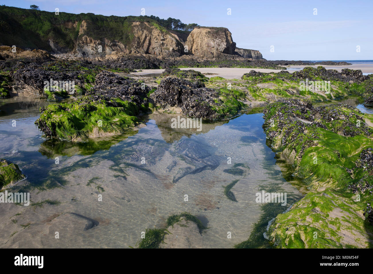 Rockpools hi-res stock photography and images - Alamy