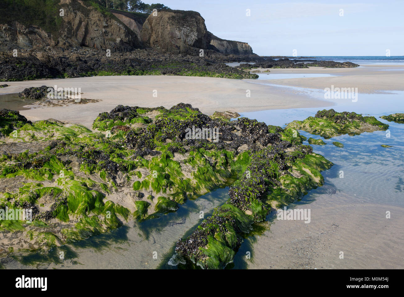 Rockpools hi-res stock photography and images - Alamy