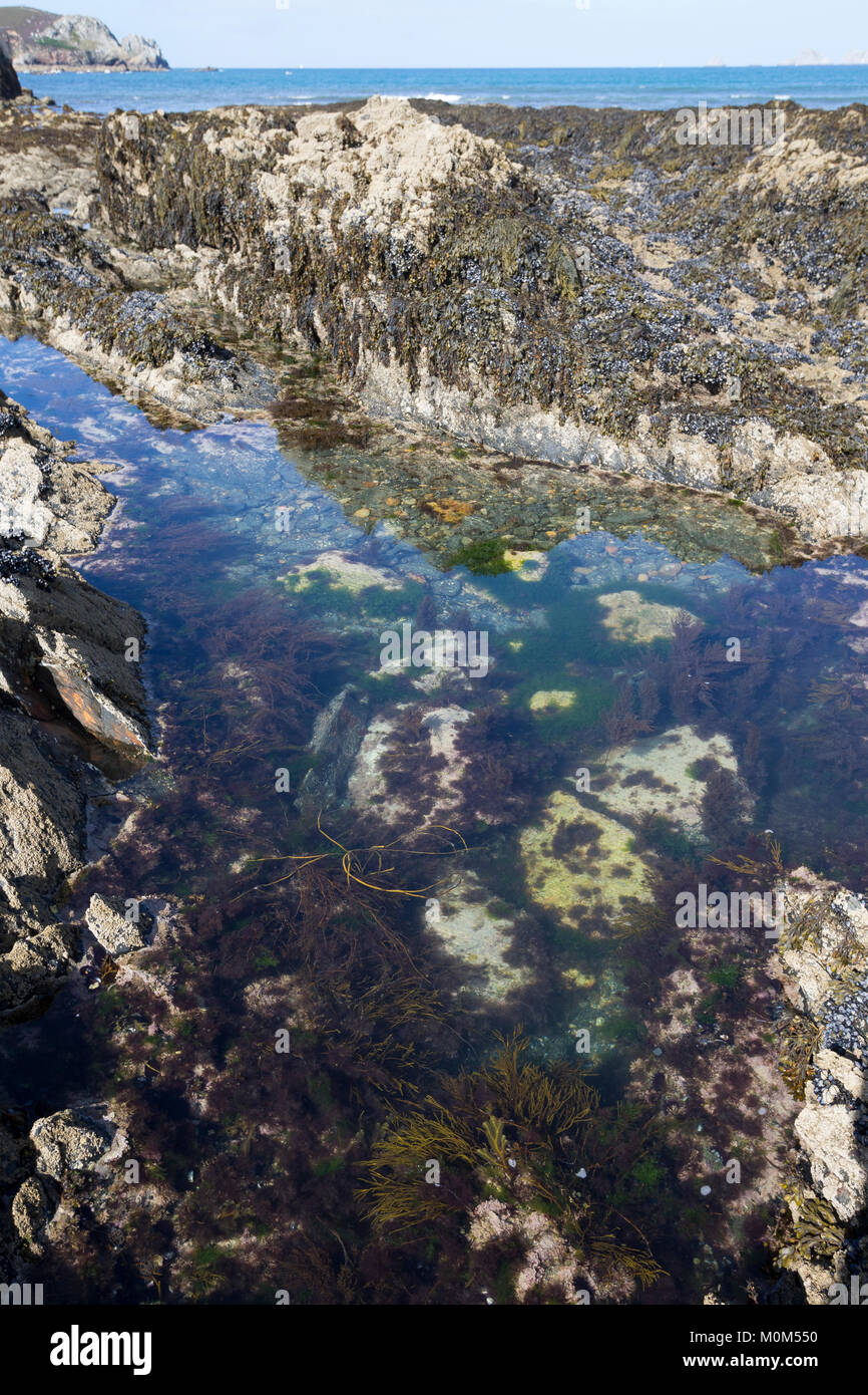 Rockpools hi-res stock photography and images - Alamy