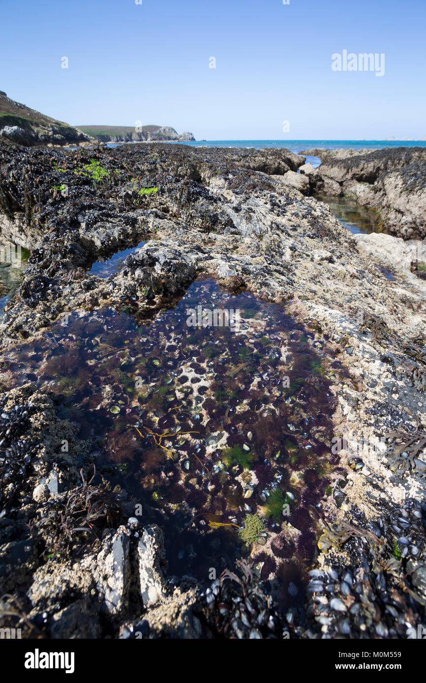 Rockpools High Resolution Stock Photography and Images - Alamy