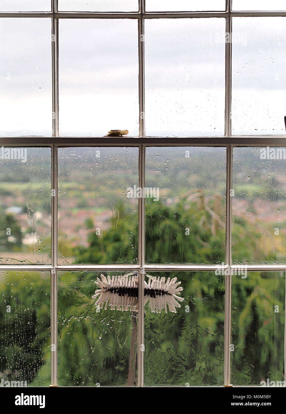 Cleaning high up old fashioned sash windows with a telescopic brush ...