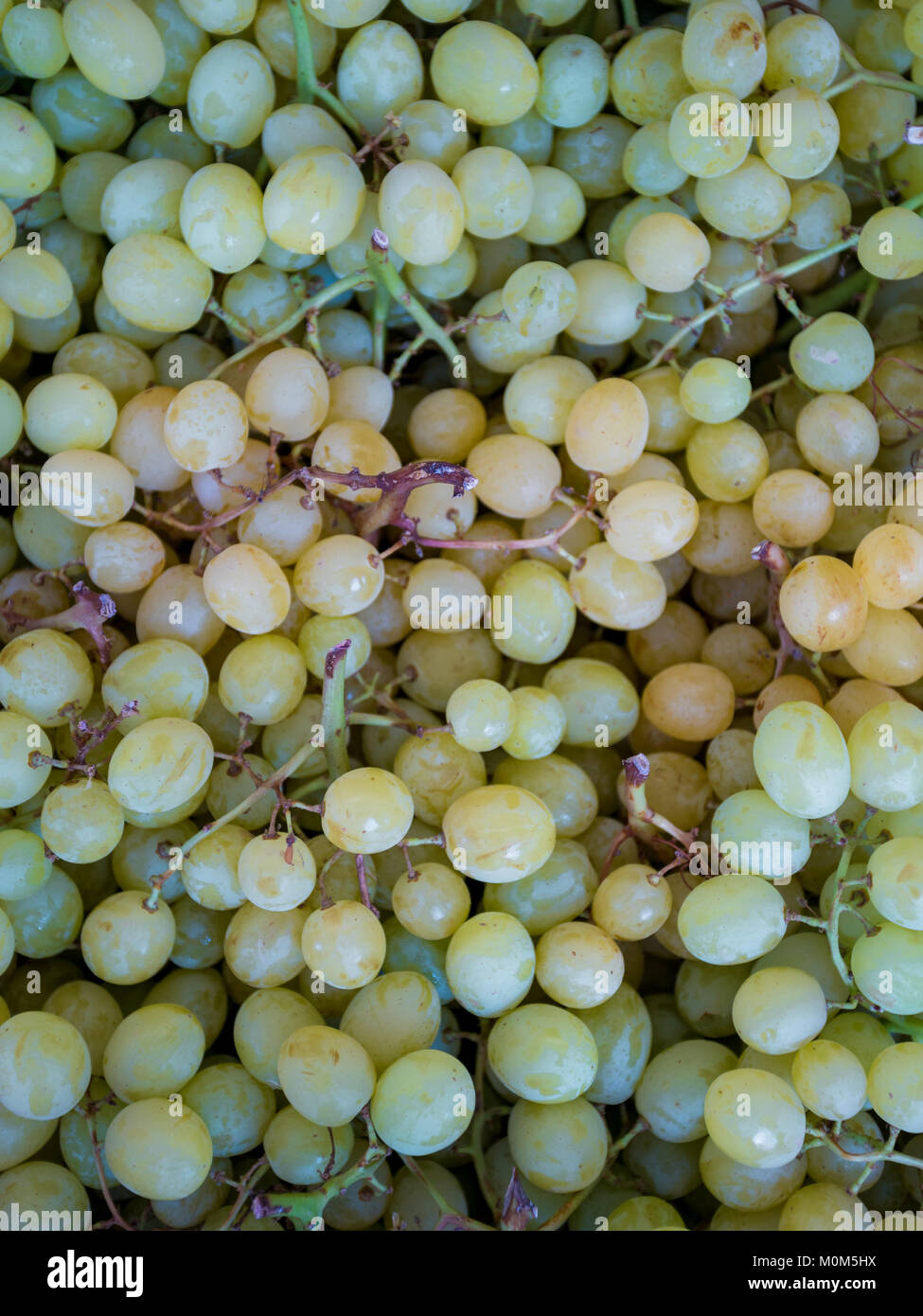 white grapes. Green Grape Background Stock Photo - Alamy