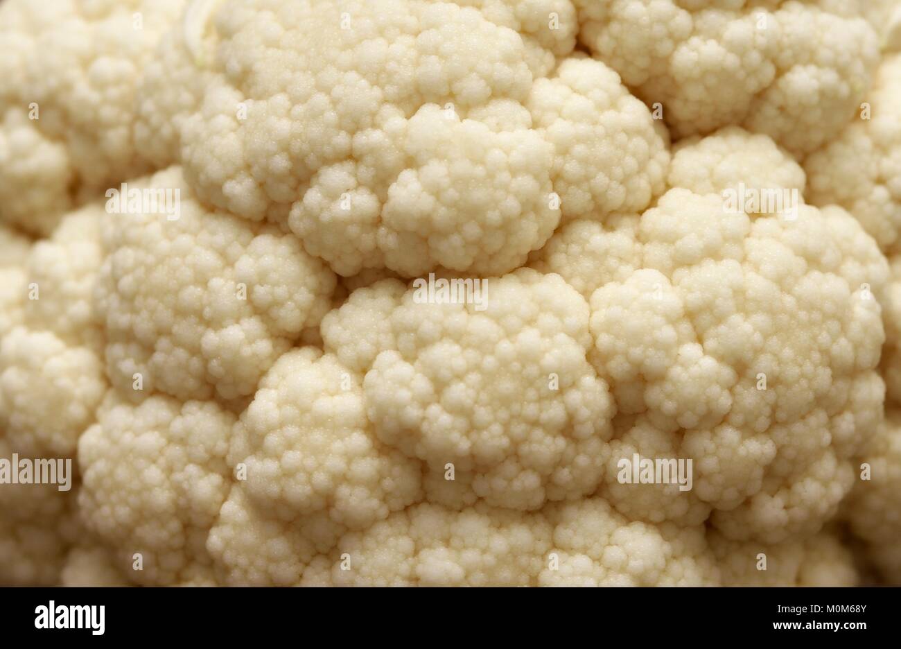 Miniature cauliflowers hi-res stock photography and images - Alamy