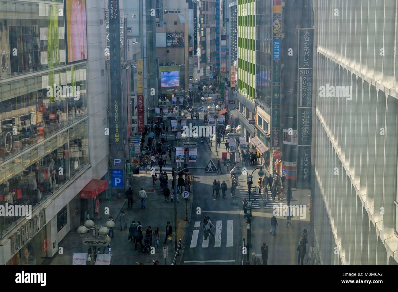 Japan,Honshu island,Kanto region,Tokyo,Shibuya area,pedestrian road ...