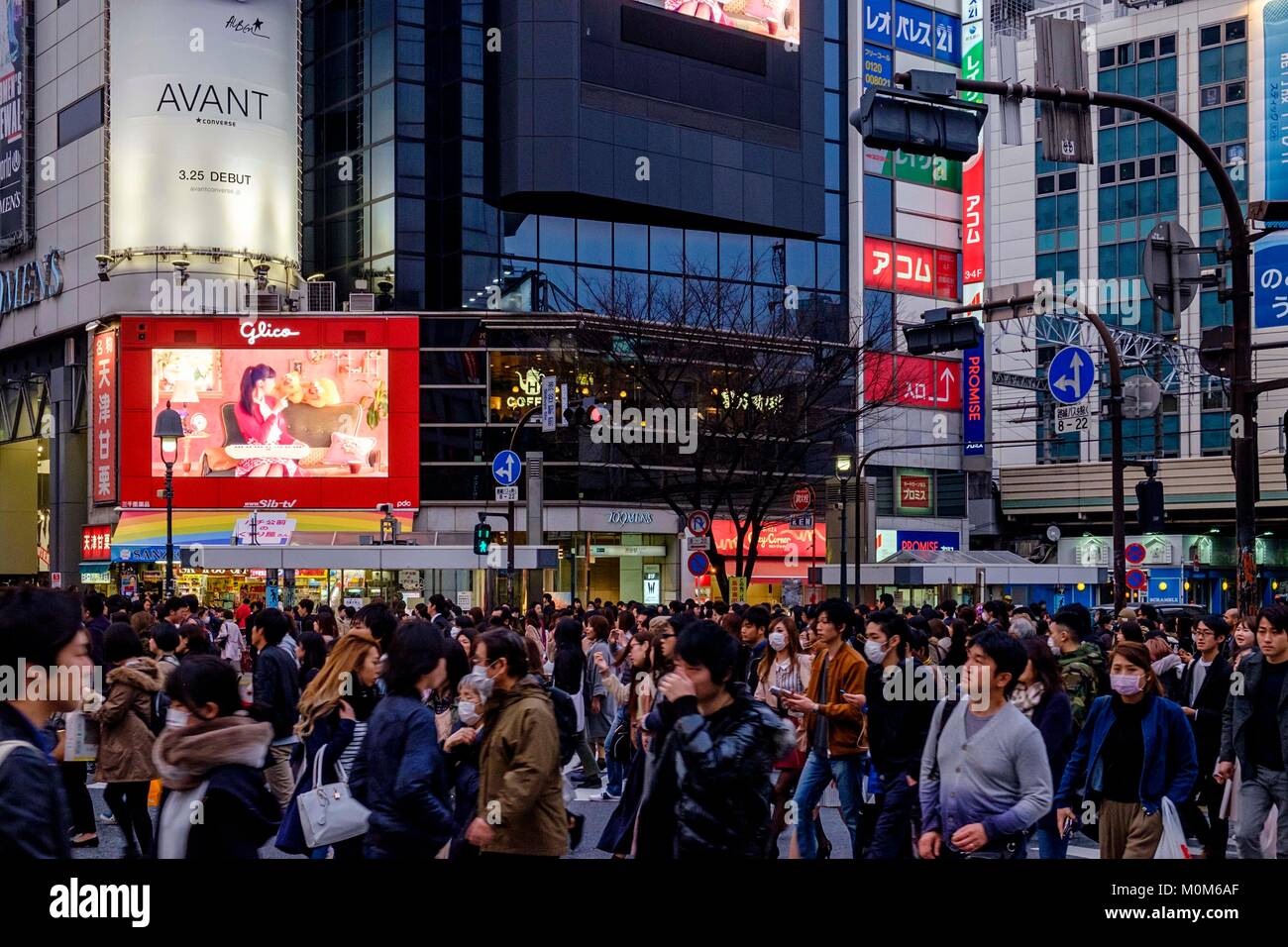 Japan,Honshu island,Kanto region,Tokyo,Shibuya area,Shibuya crossroad ...