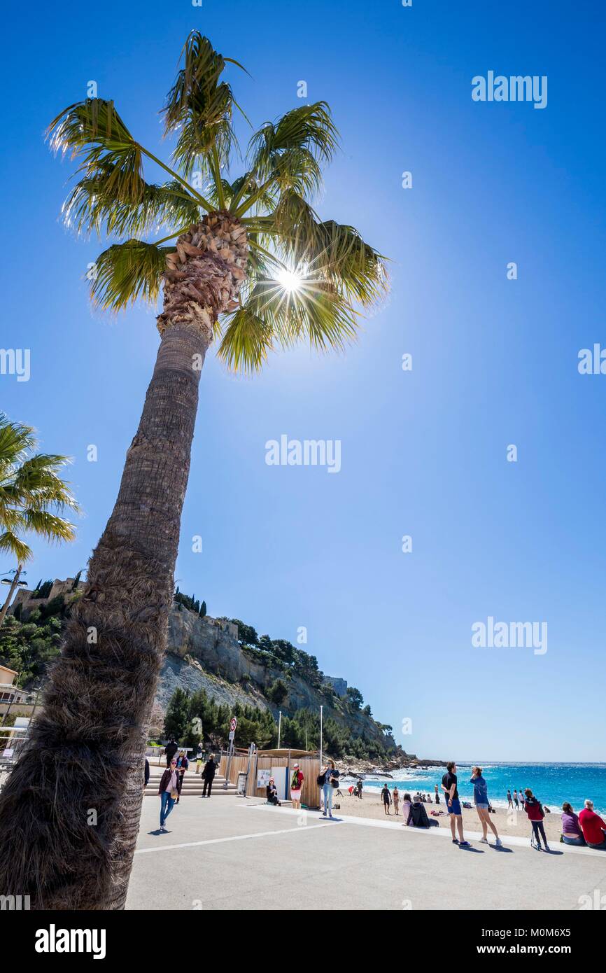 France,Bouches du Rhone,Cassis,beach of the Grande Mer Stock Photo - Alamy