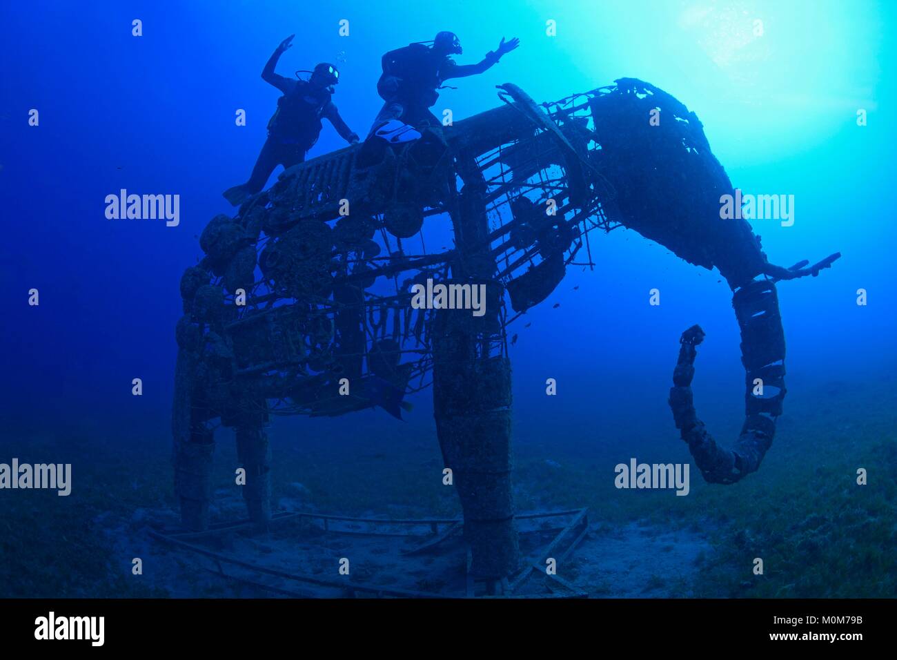 Egypt,Sinaï,Red Sea,Dahab,underwater museum of Lighthouse dive site,the ...