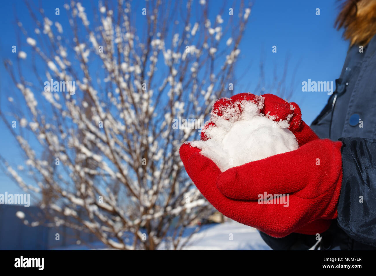 hands in red gloves holding snowball Stock Photo - Alamy