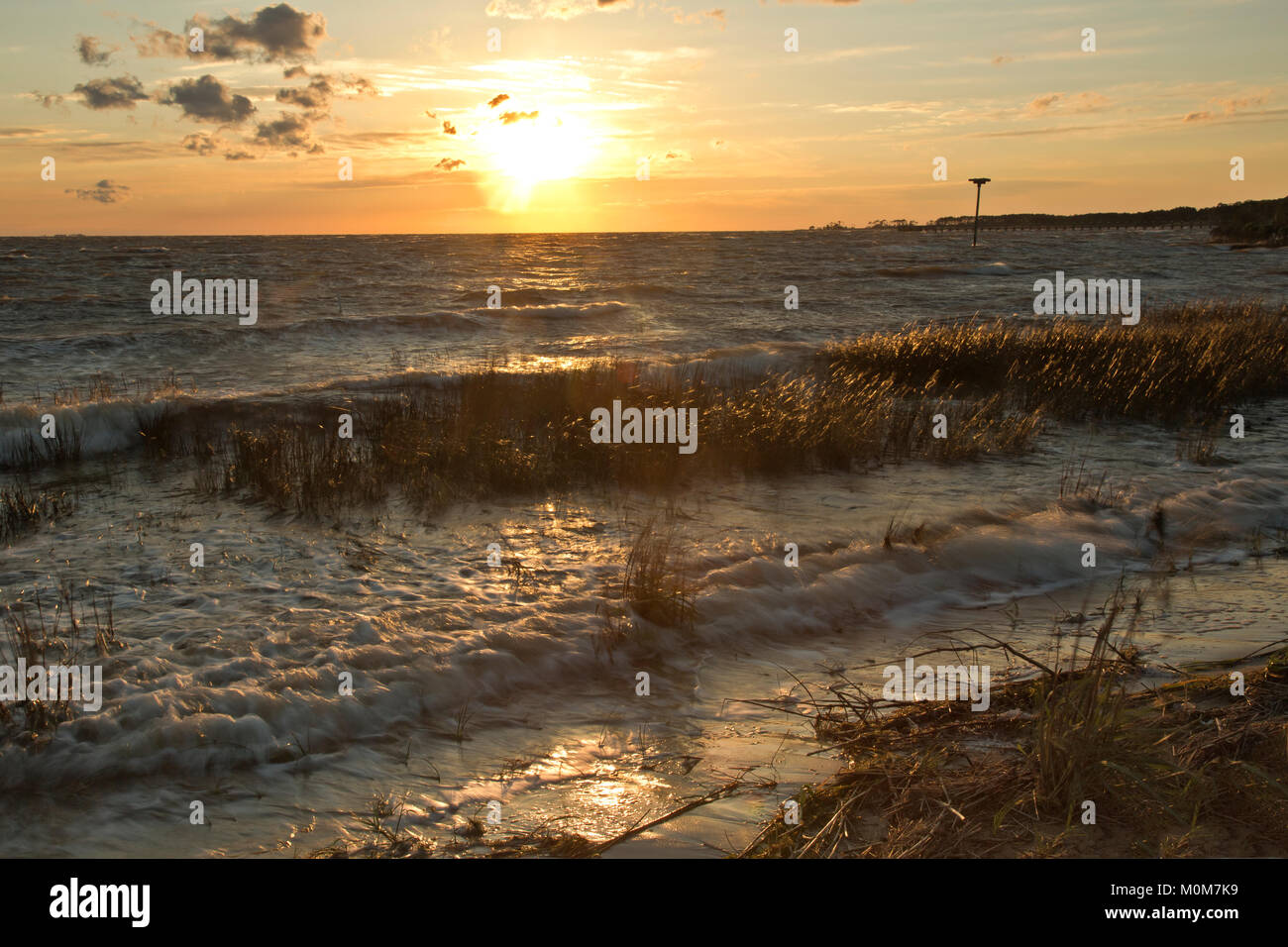 NC01387-00...NORTH CAROLINA - Wind driven waves crashing the marshy ...