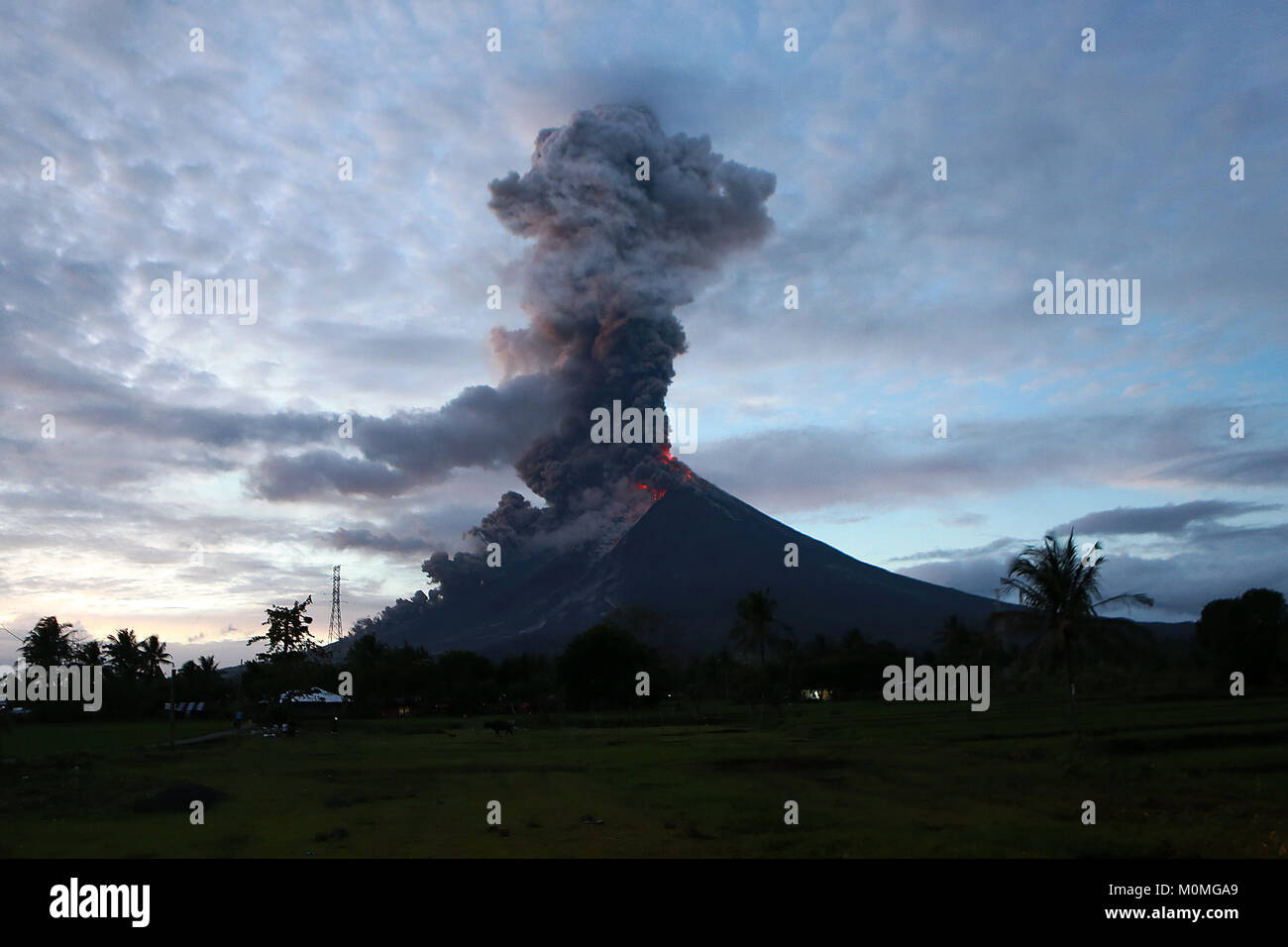 Albay, Philippines. 23rd Jan, 2018. A huge ash cloud rises and glowing ...