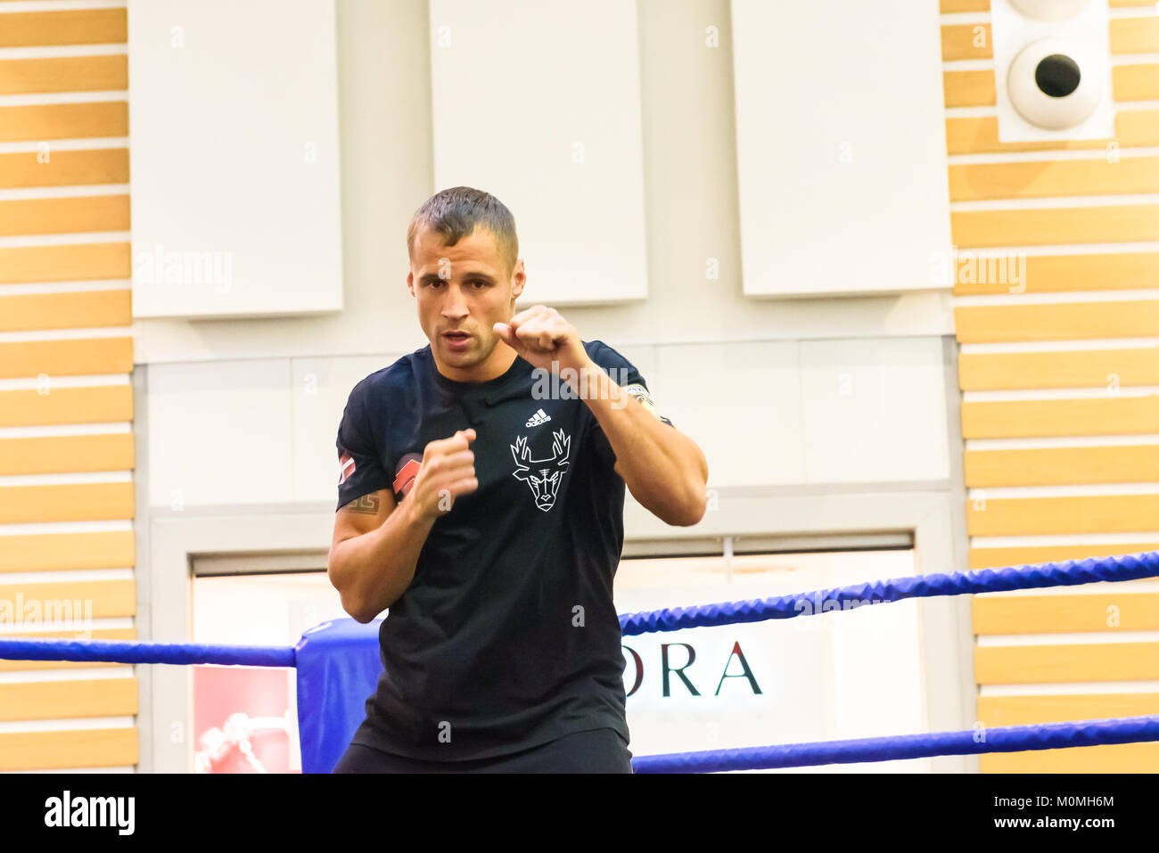 Latvian Boxer High Resolution Stock Photography and Images - Alamy