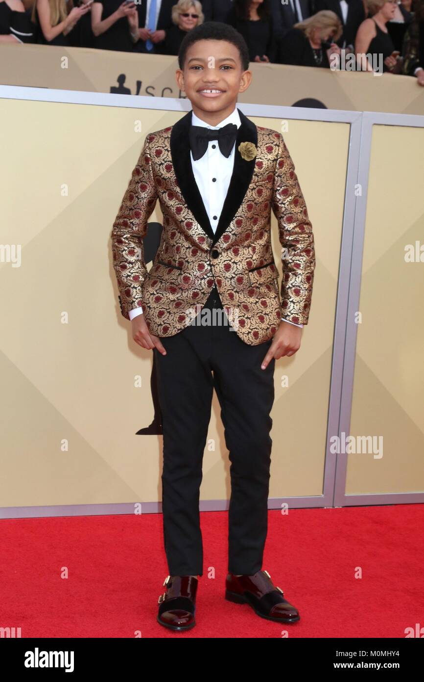 Los Angeles, CA, USA. 21st Jan, 2018. Lonnie Chavis at arrivals for ...