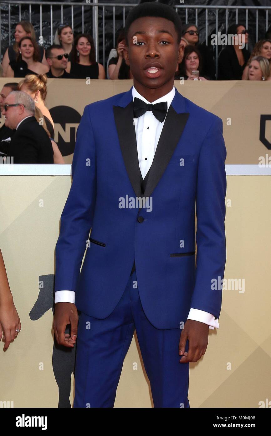 Los Angeles, CA, USA. 21st Jan, 2018. Niles Fitch at arrivals for 24th ...