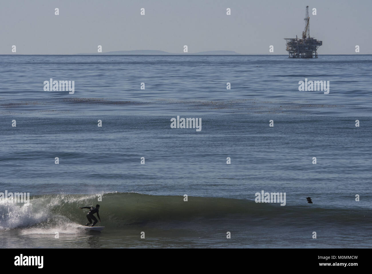 Platform holly hi-res stock photography and images - Alamy