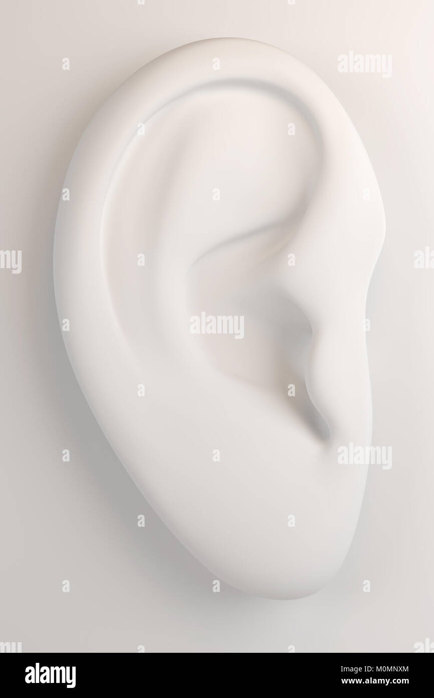 3d rendered illustration of a human ear Stock Photo - Alamy