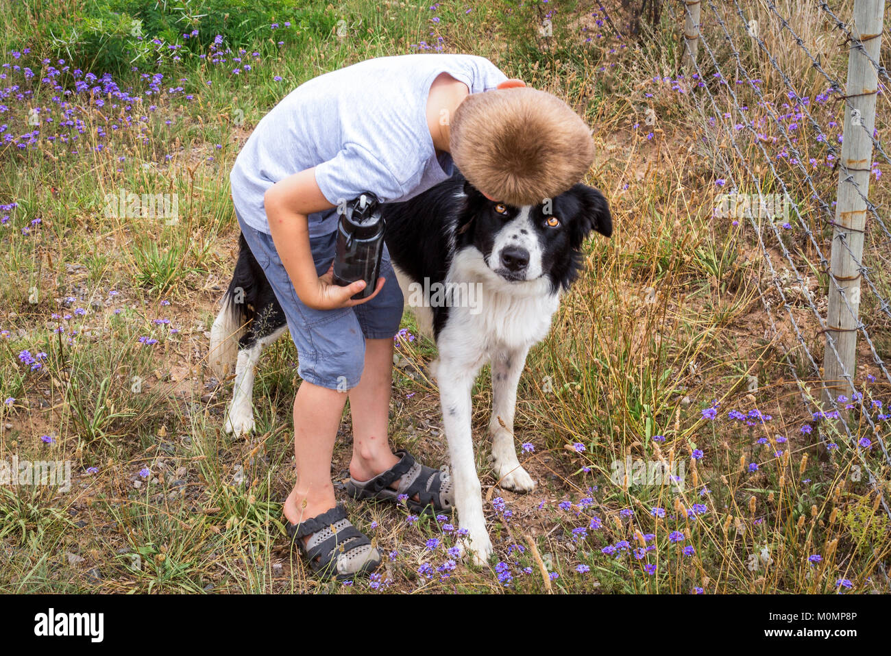 Boy hugging Border Collie pet dog outdoors on farm Stock Photo - Alamy