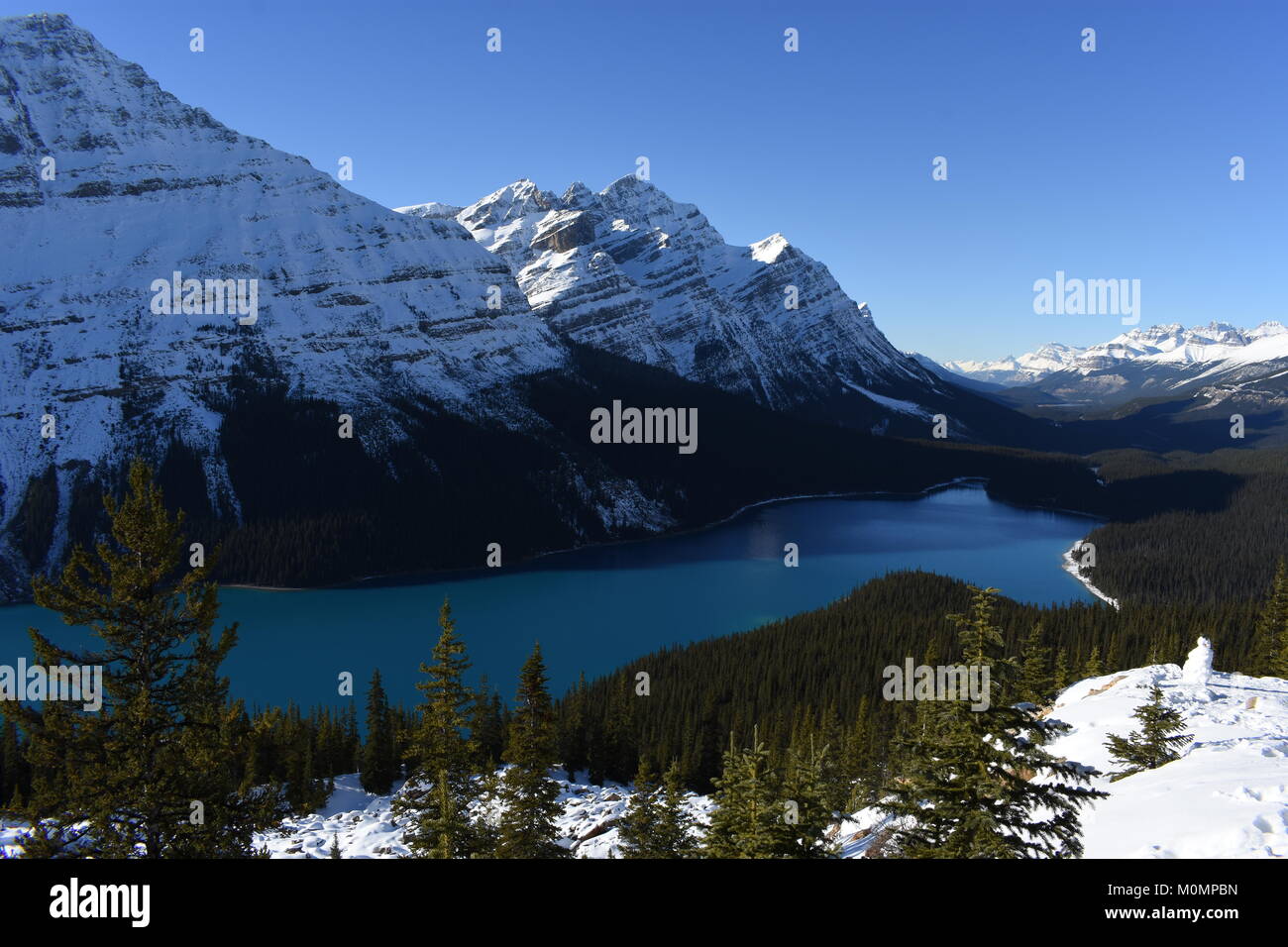 Glacier lake peyto lake hi-res stock photography and images - Alamy