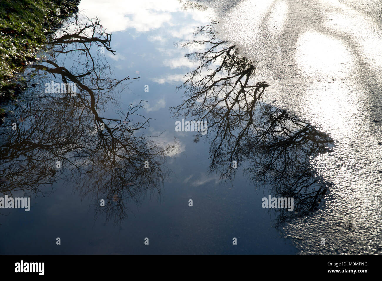 Sunny rain puddle hi-res stock photography and images - Alamy