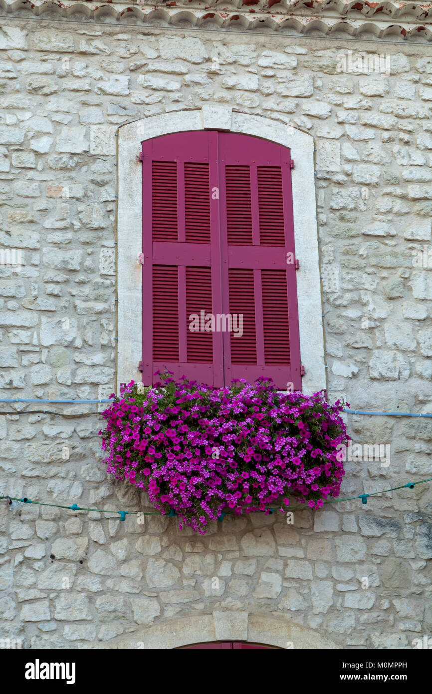 Taste of Provence, purple window and flowers in small cosy southern ...