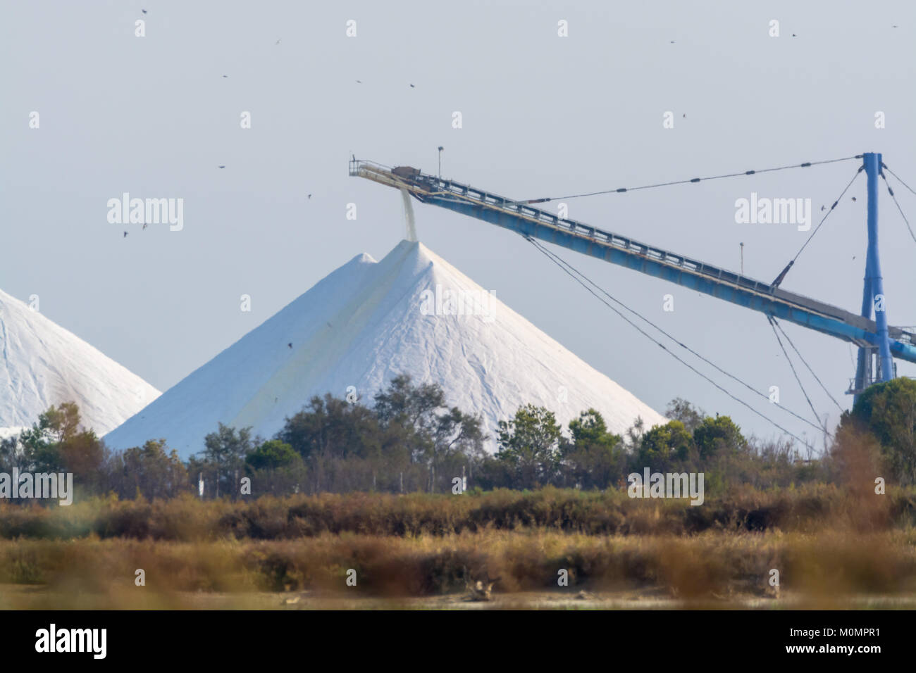 Salt works, industrial plant with white piles of Camagrue sea salt ...