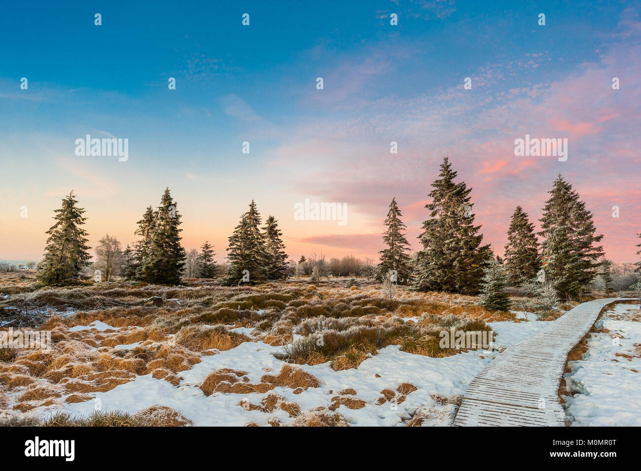 High Fens Winter Landscape Stock Photo - Alamy