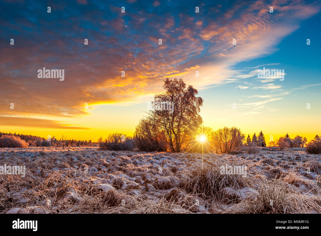 High Fens Winter Landscape Stock Photo - Alamy