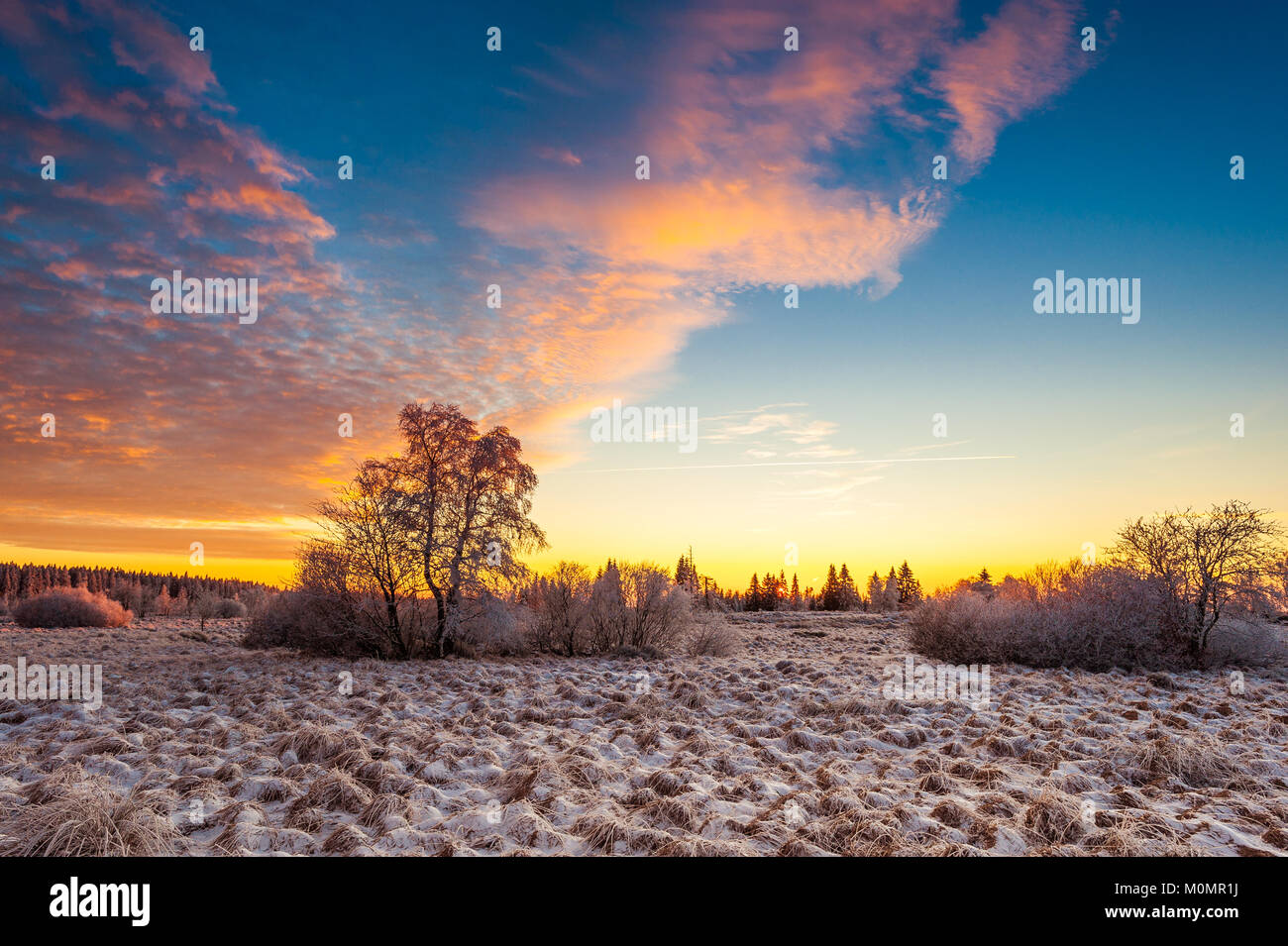 High Fens Winter Landscape Stock Photo - Alamy
