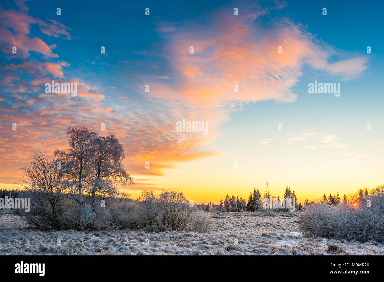 High fens nature park hi-res stock photography and images - Alamy