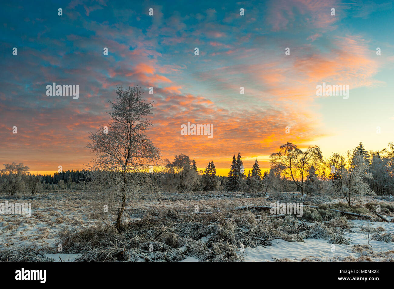 High Fens Winter Landscape Stock Photo - Alamy