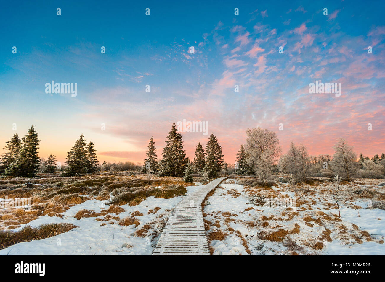 High Fens Winter Landscape Stock Photo - Alamy