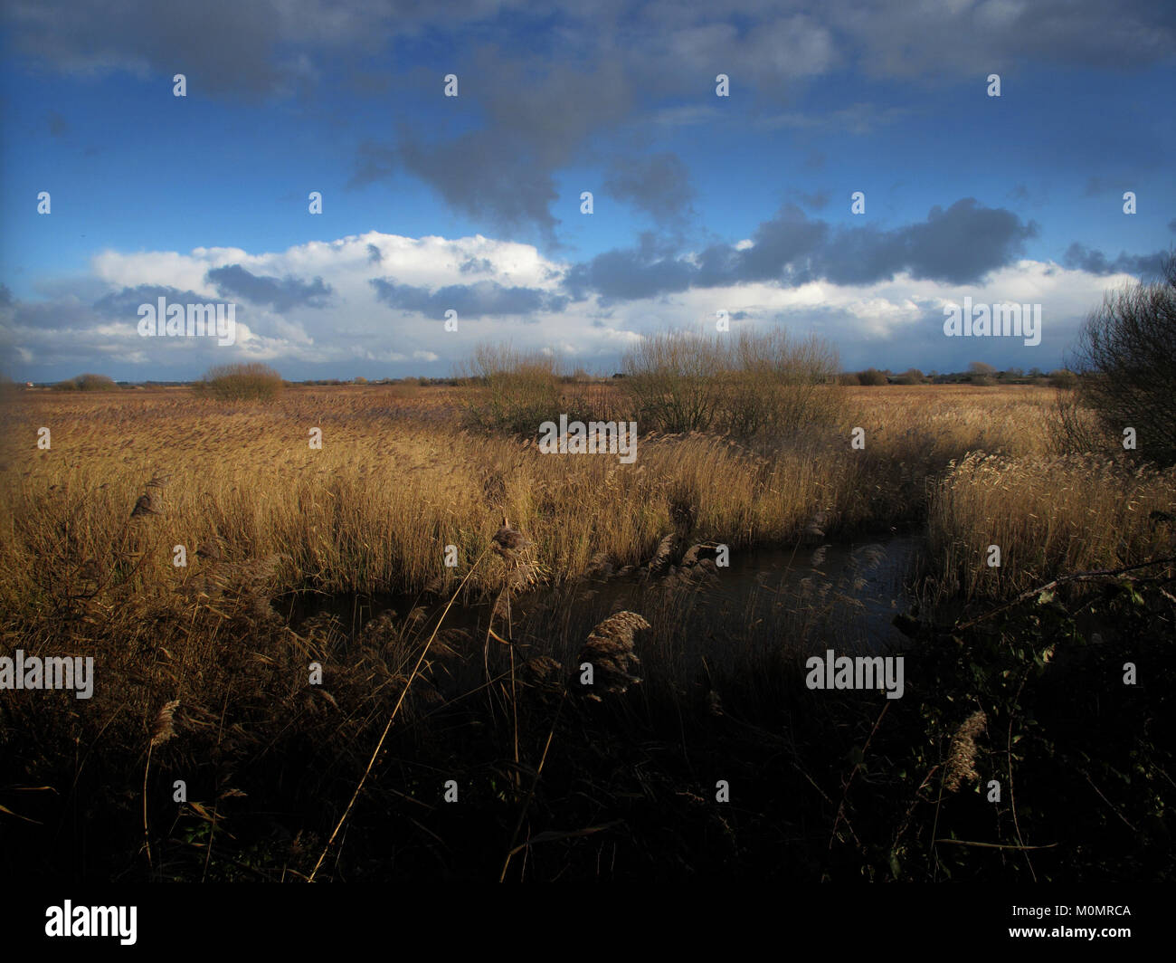 Kent landscapes hi-res stock photography and images - Alamy