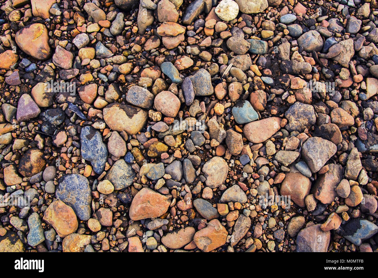 Pebbles on beach. Pebbles background. Natural colorful pebbles ...