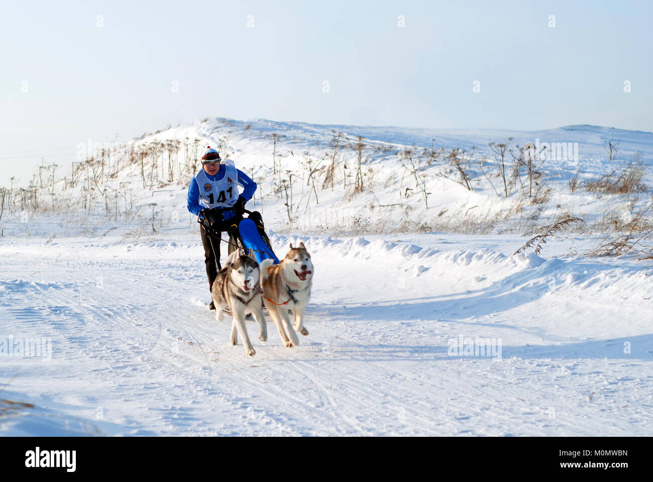Two huskies hi-res stock photography and images - Alamy