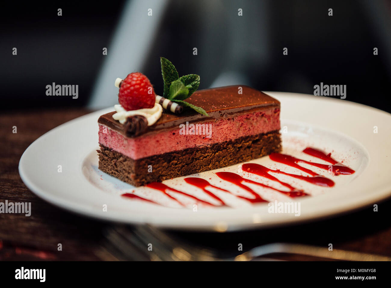Close up shot of a slice of chocolate and raspberry cake with coulis ...