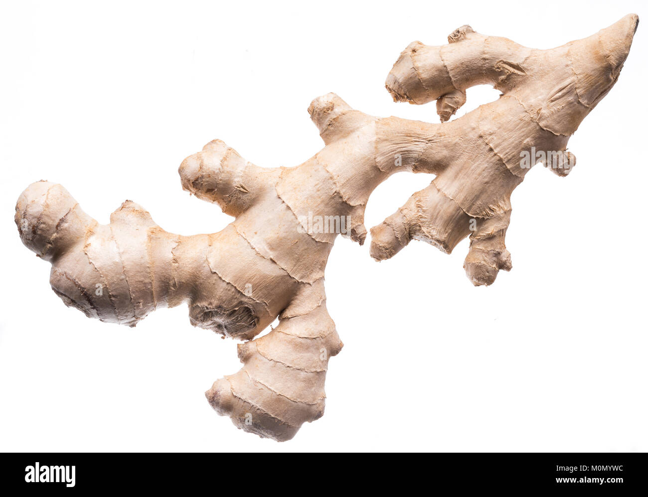 Fresh ginger rhizome or ginger root. Isolated on white background Stock ...