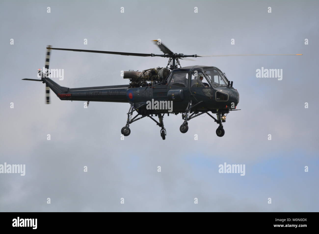 Westland Wasp 1960s British royal navy helicopter at Shuttleworth Fly ...
