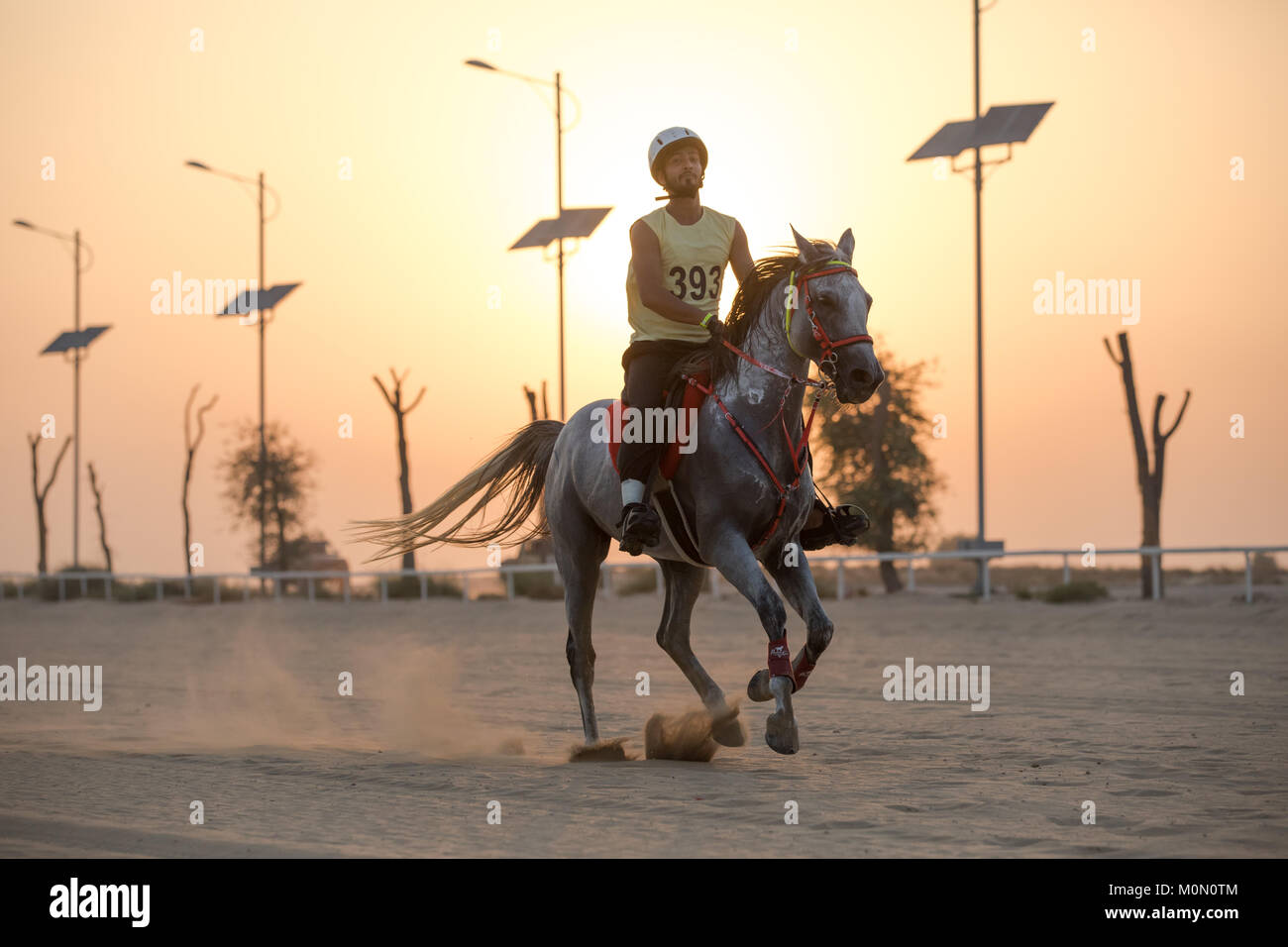 An athletic rider competing in a long-distance endurance race in the ...