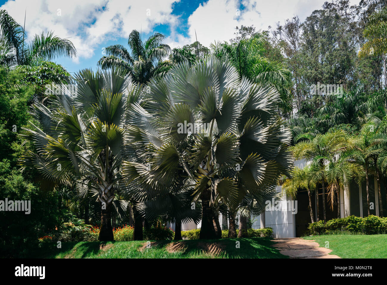 Inhotim Institute is a museum and contemporary art museum as well as a ...