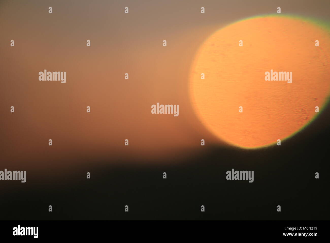 Distorted nature hi-res stock photography and images - Alamy