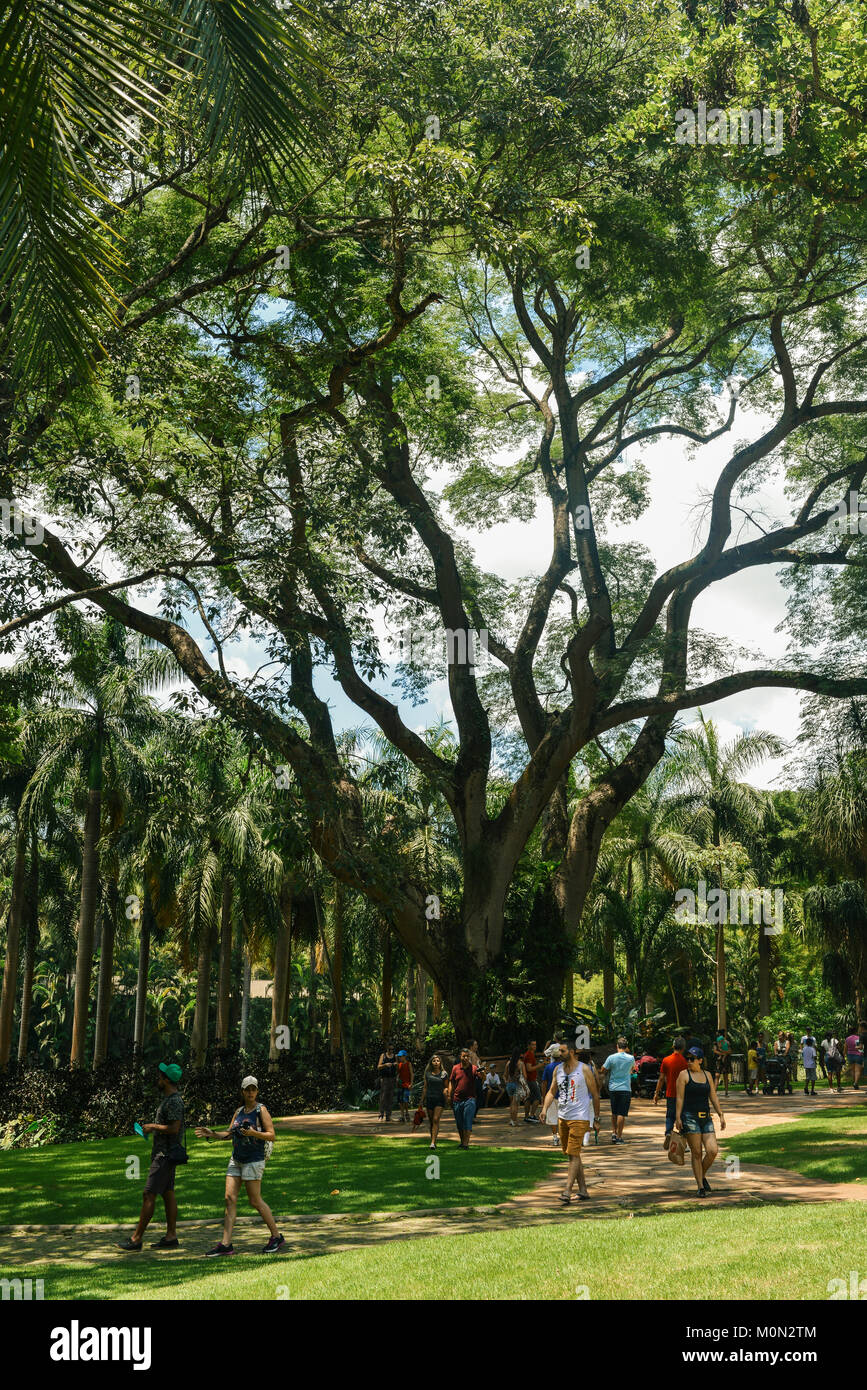 Inhotim Institute is a museum and contemporary art museum as well as a ...