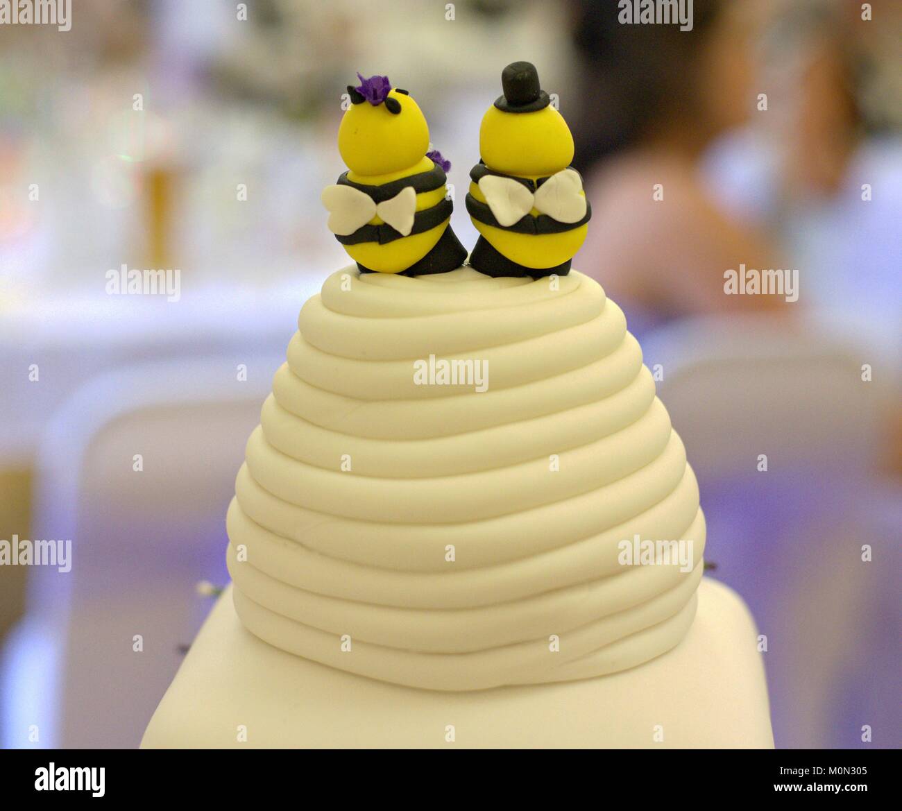 Twin bee hi-res stock photography and images - Alamy