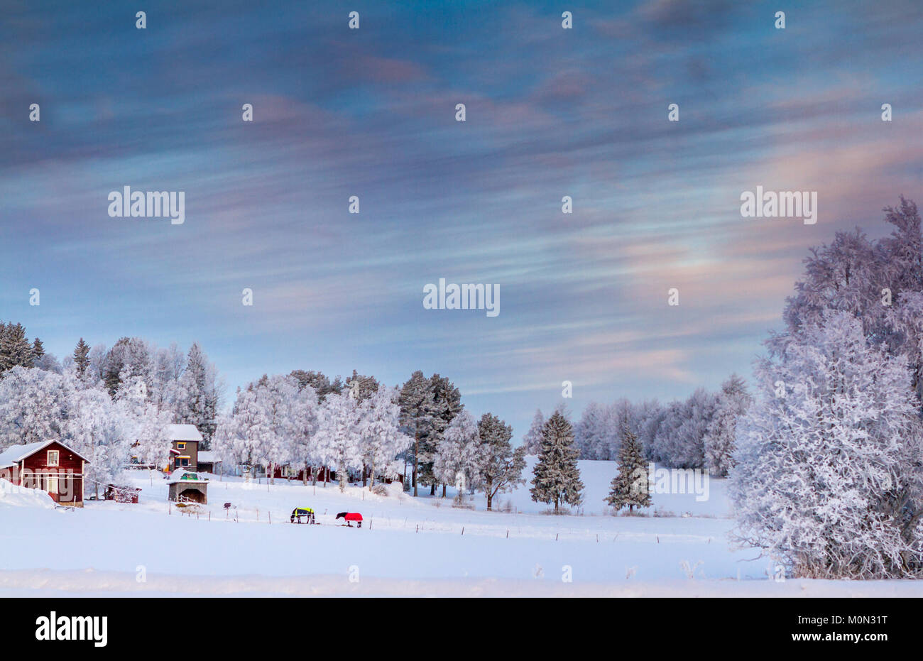 Winter in Sweden Stock Photo - Alamy