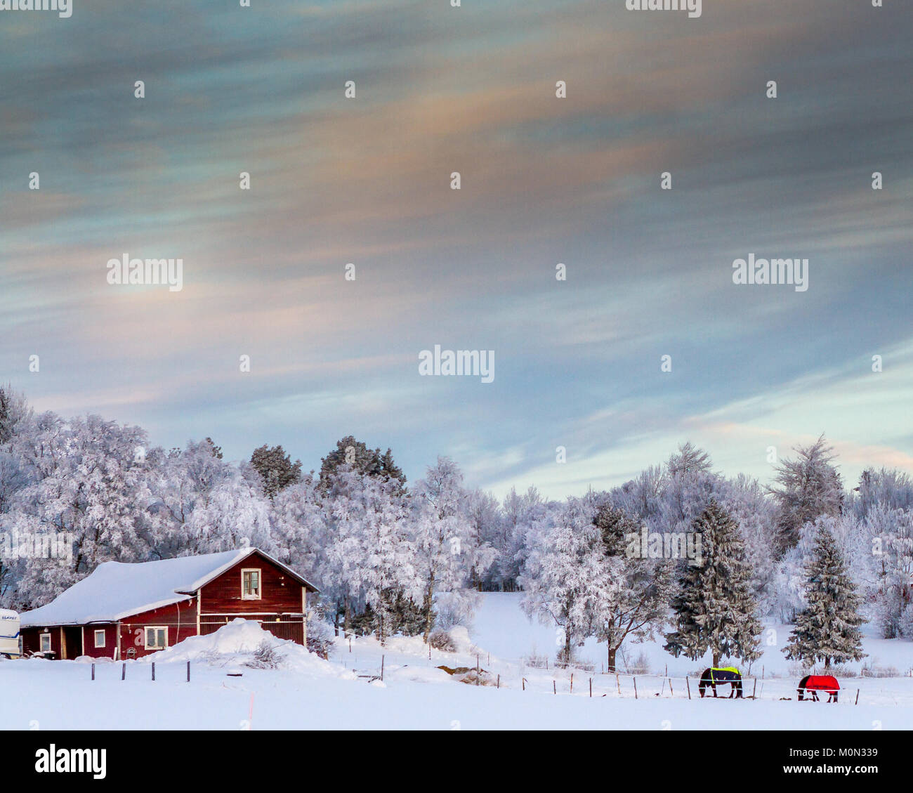 Winter in Sweden Stock Photo - Alamy