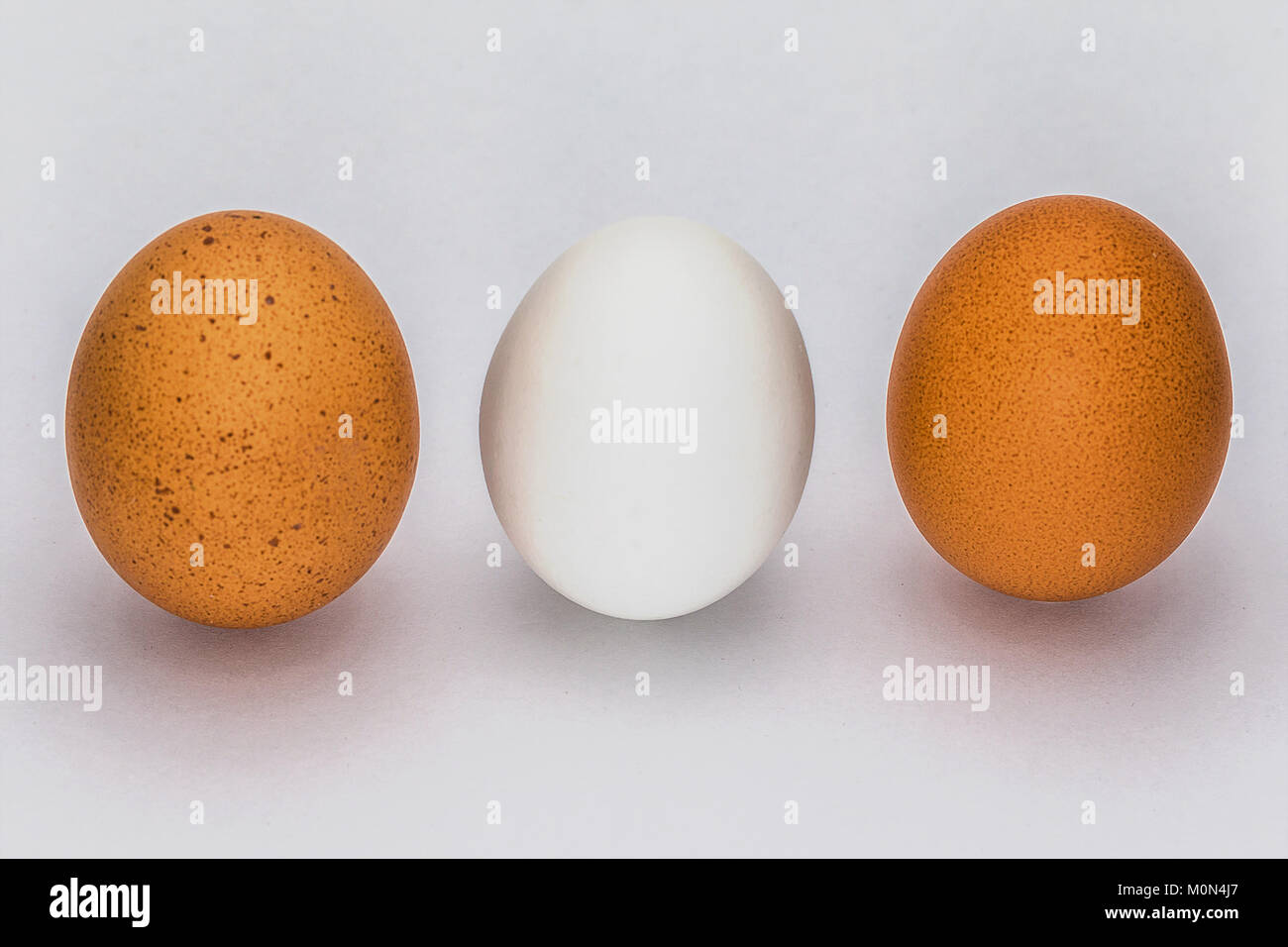 Eggs on white Background Stock Photo - Alamy