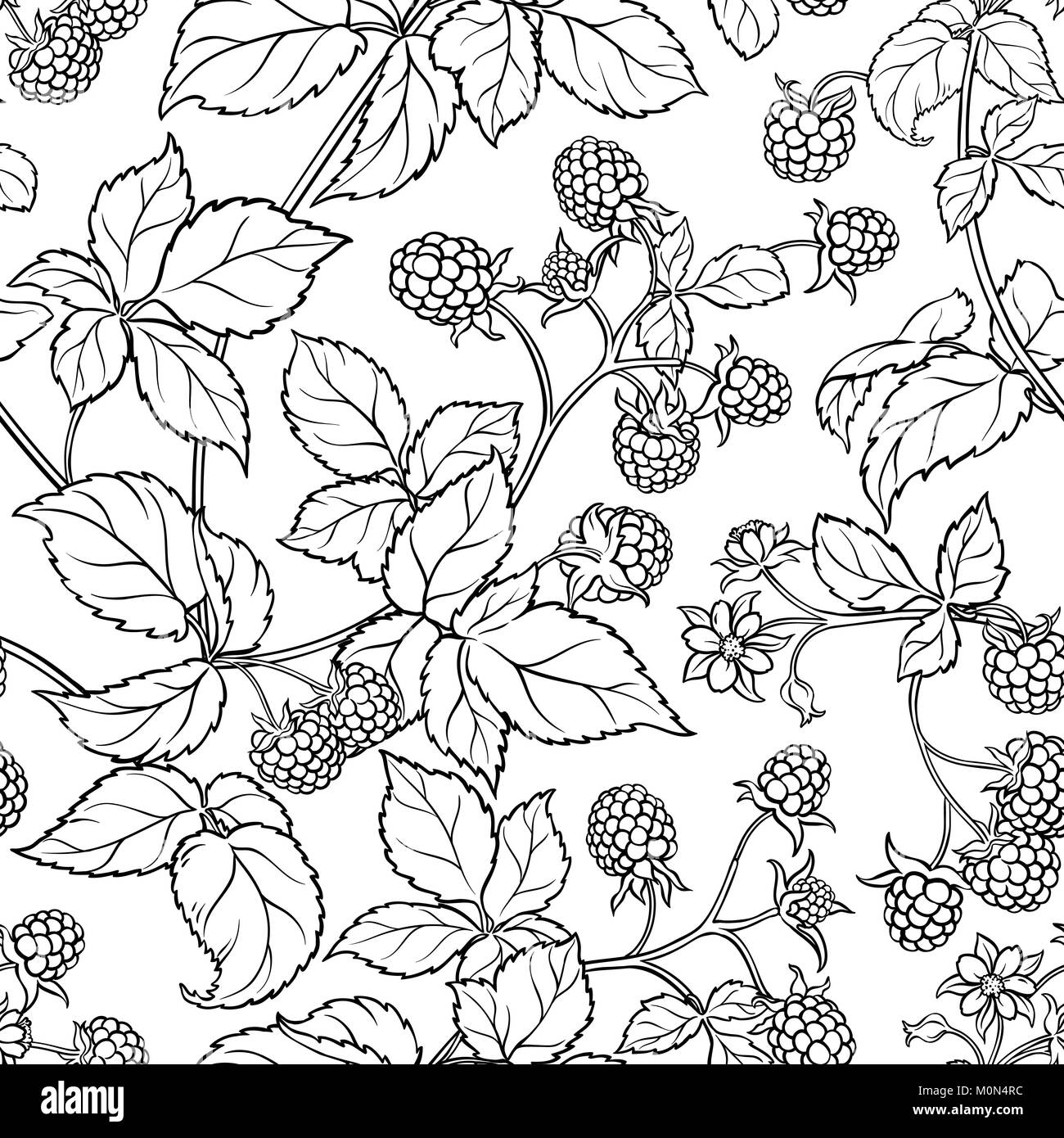 raspberry branches seamless pattern on white background Stock Vector ...