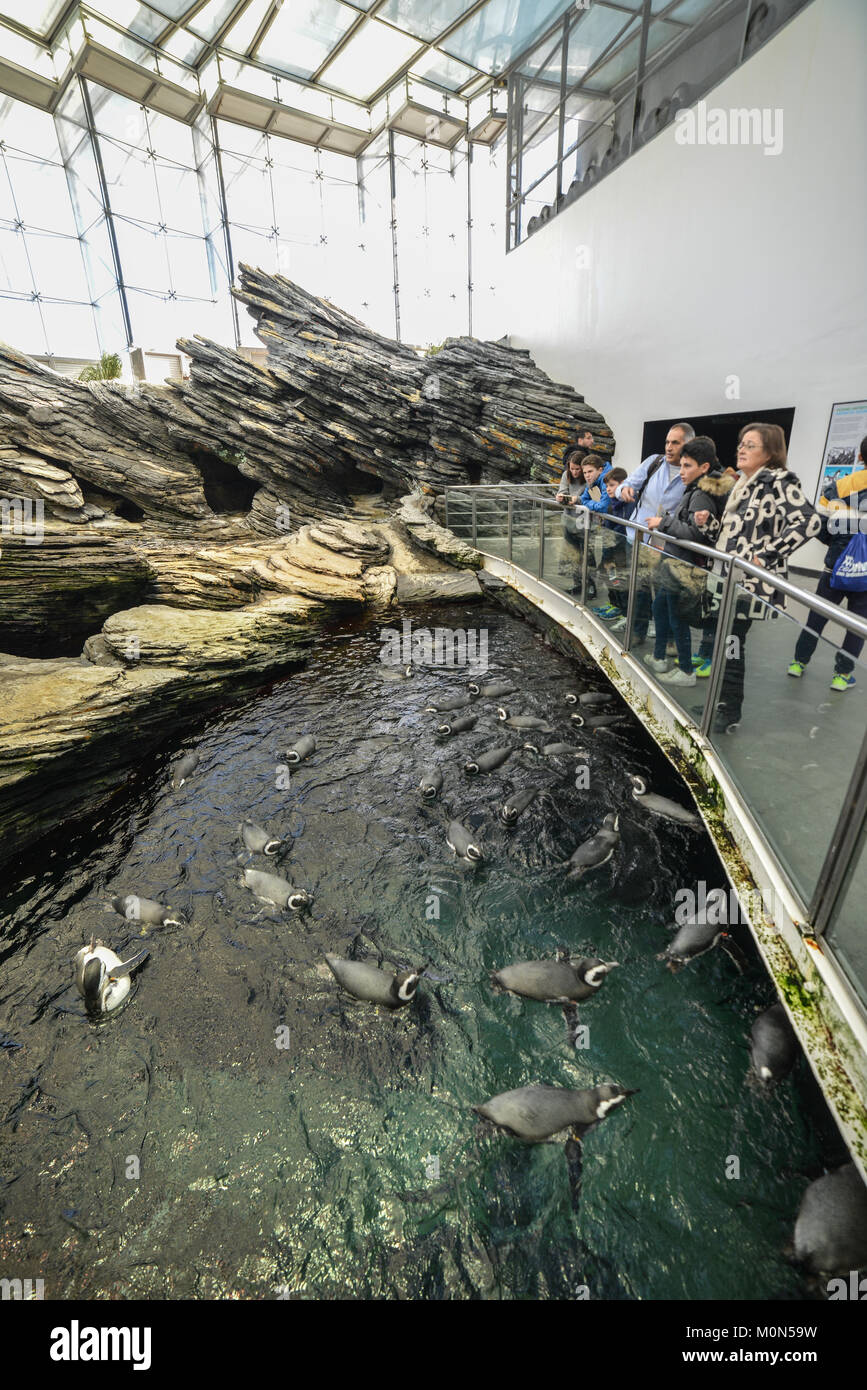 Oceanario aquarium hi-res stock photography and images - Alamy