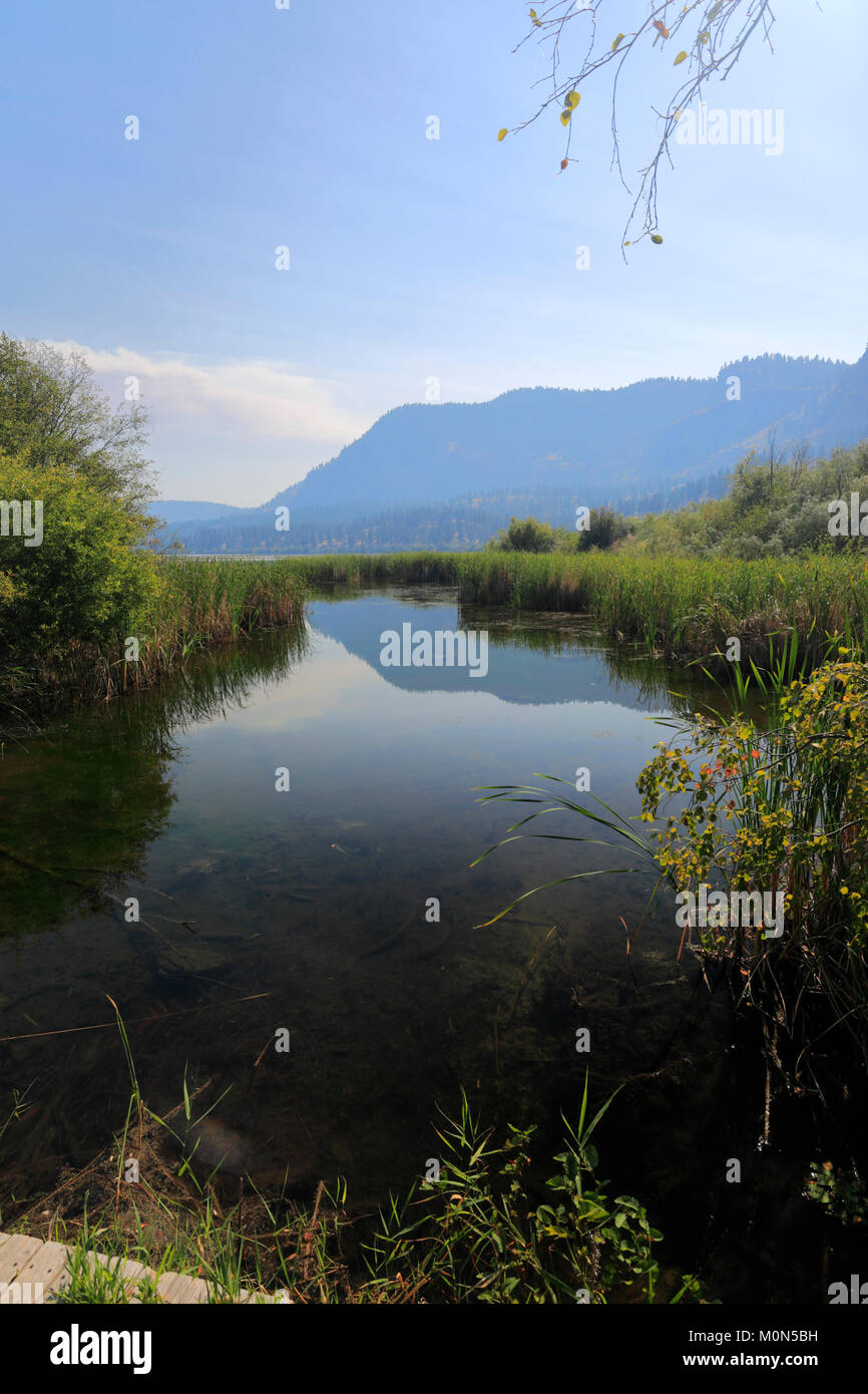 Summer view over Vaseux Lake, a freshwater lake on the Okanagan River ...