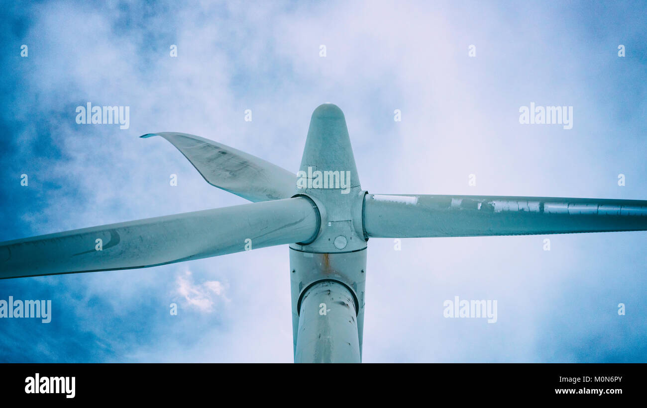 View of wind turbine at Whitelee Windfarm in East Renfrewshire operated ...
