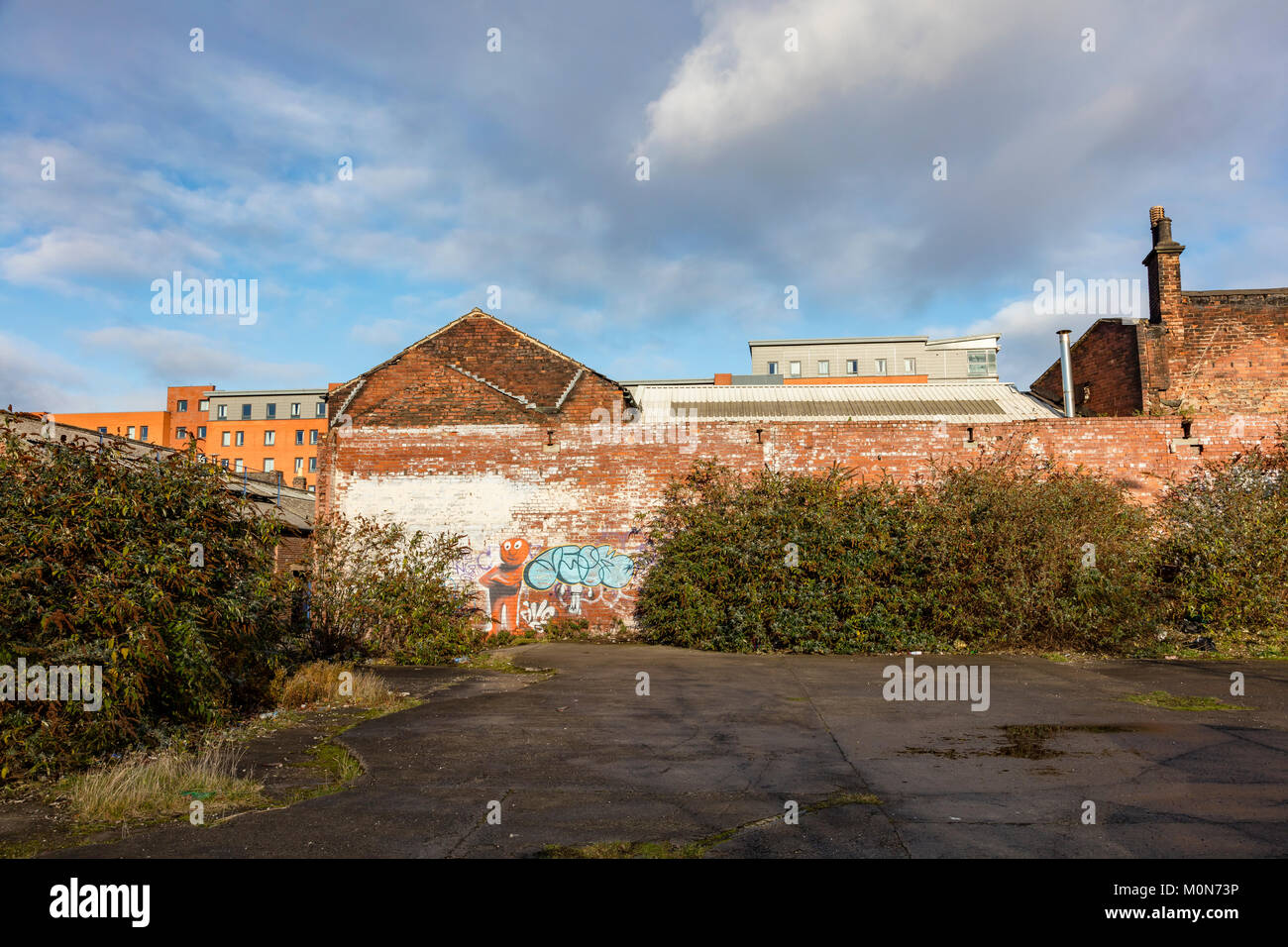 Sheffield graffiti art hi-res stock photography and images - Alamy